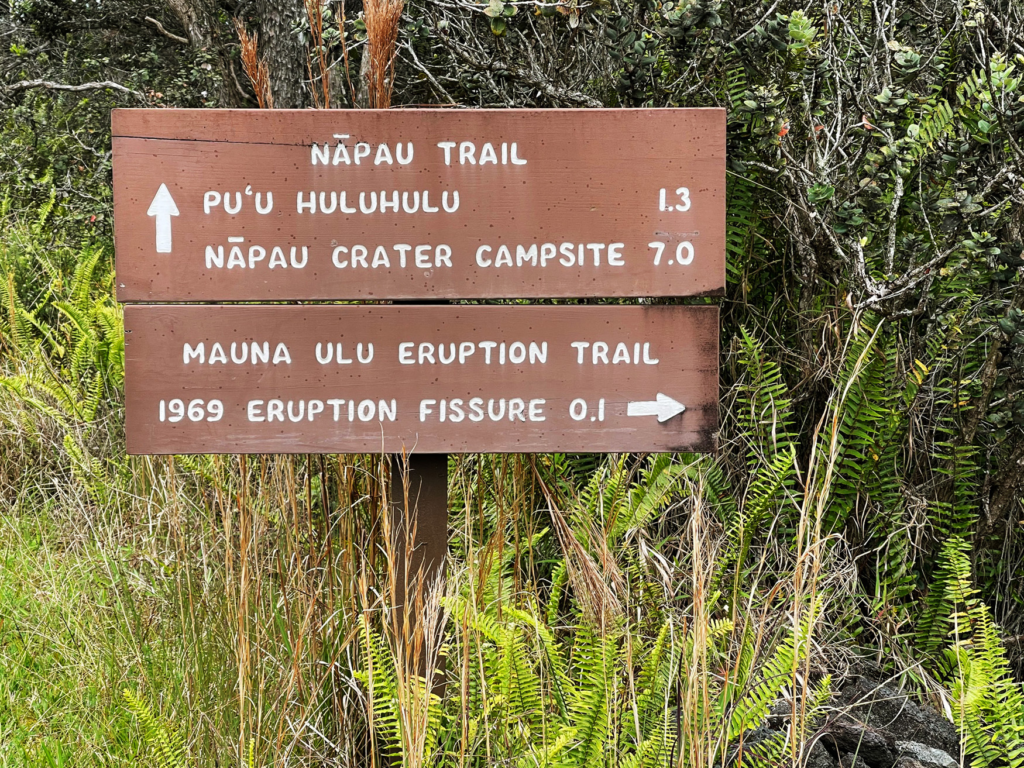 Mauna Ulu Eruption Trail - Michael Garth